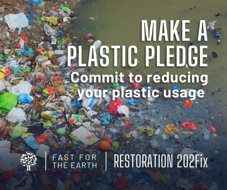 Fast for the Earth 2026 – Green Anglicans